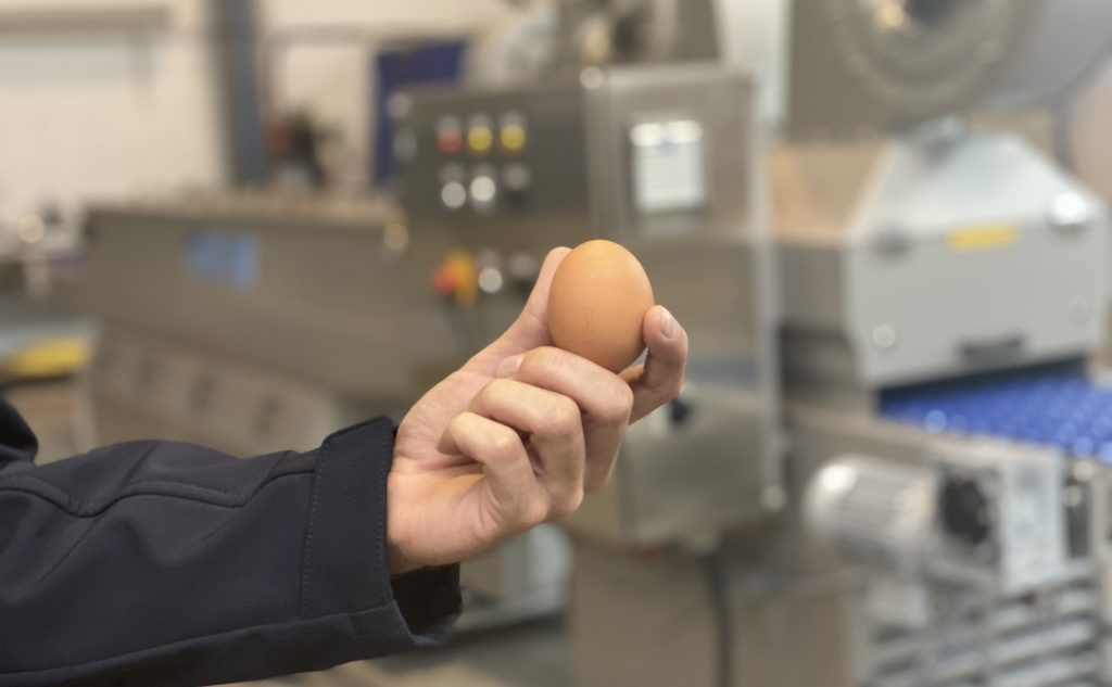 Commercial Egg Washer | Hygienic Systems | Unifortes